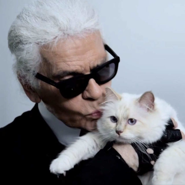 Conheça Grece Ghanem a Influencer 50+ do Instagram.